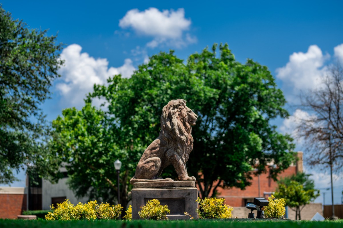 Texas A&M-Commerce Lions @ Southeastern (Louisiana) Lions-Storylines ...